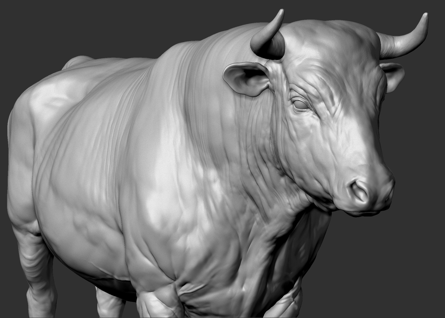 Bull v2 3D model - TurboSquid 1408523