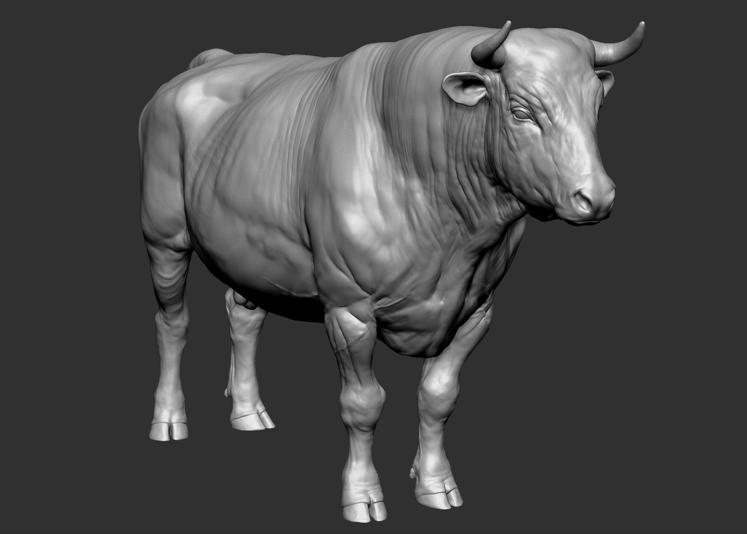Bull V2 3D Model - TurboSquid 1408523
