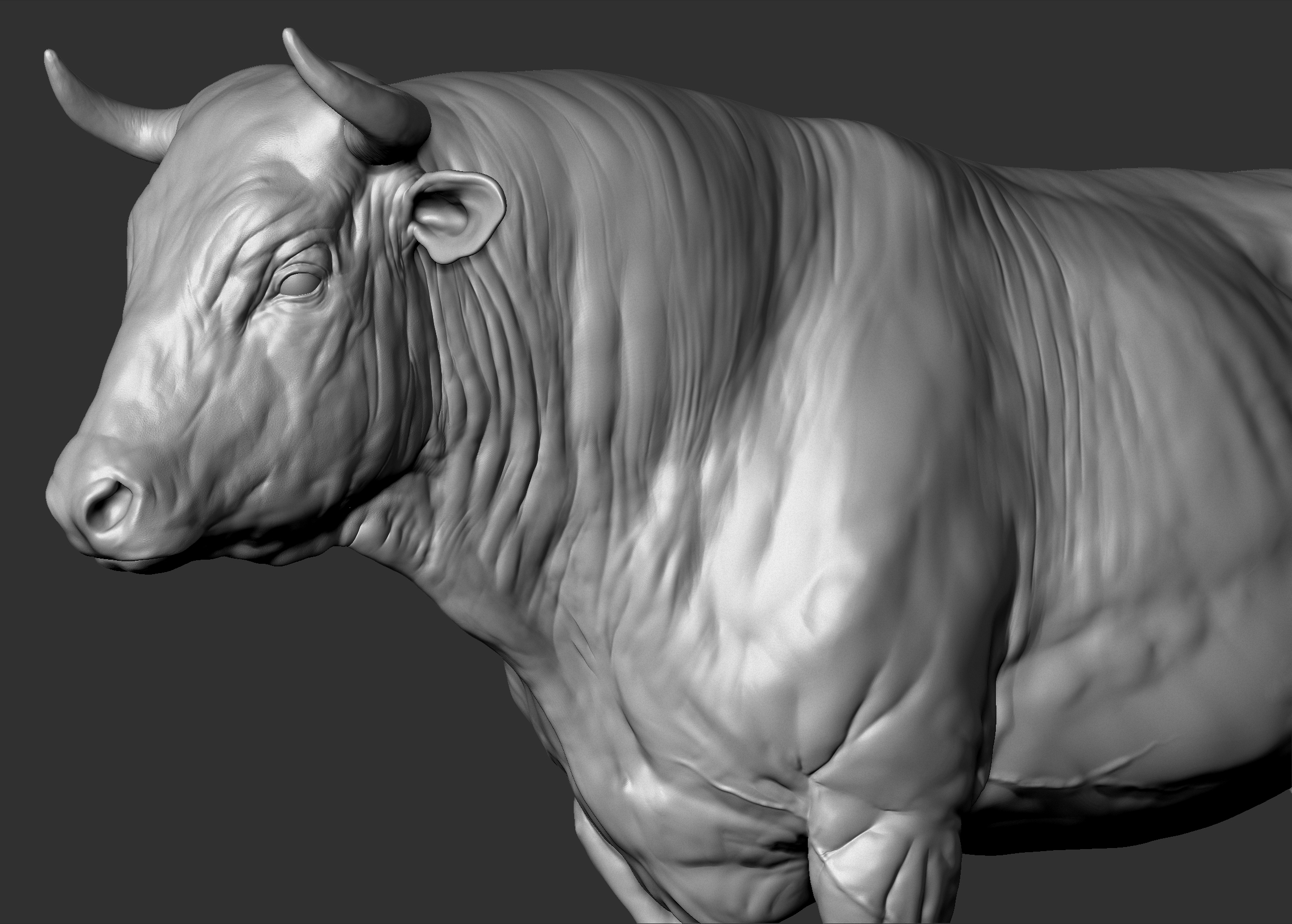 Bull v2 3D model - TurboSquid 1408523