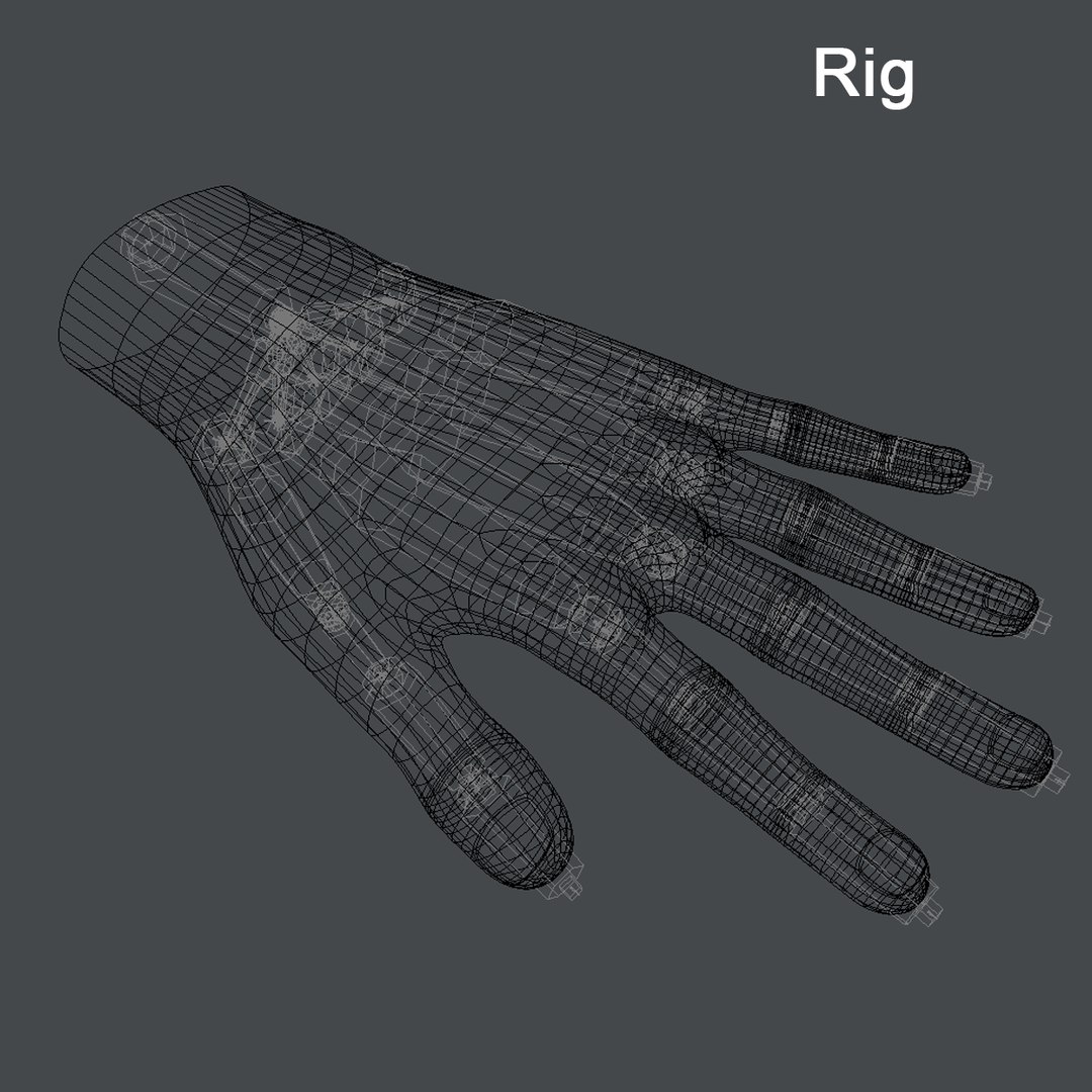 Dxf Human Hand