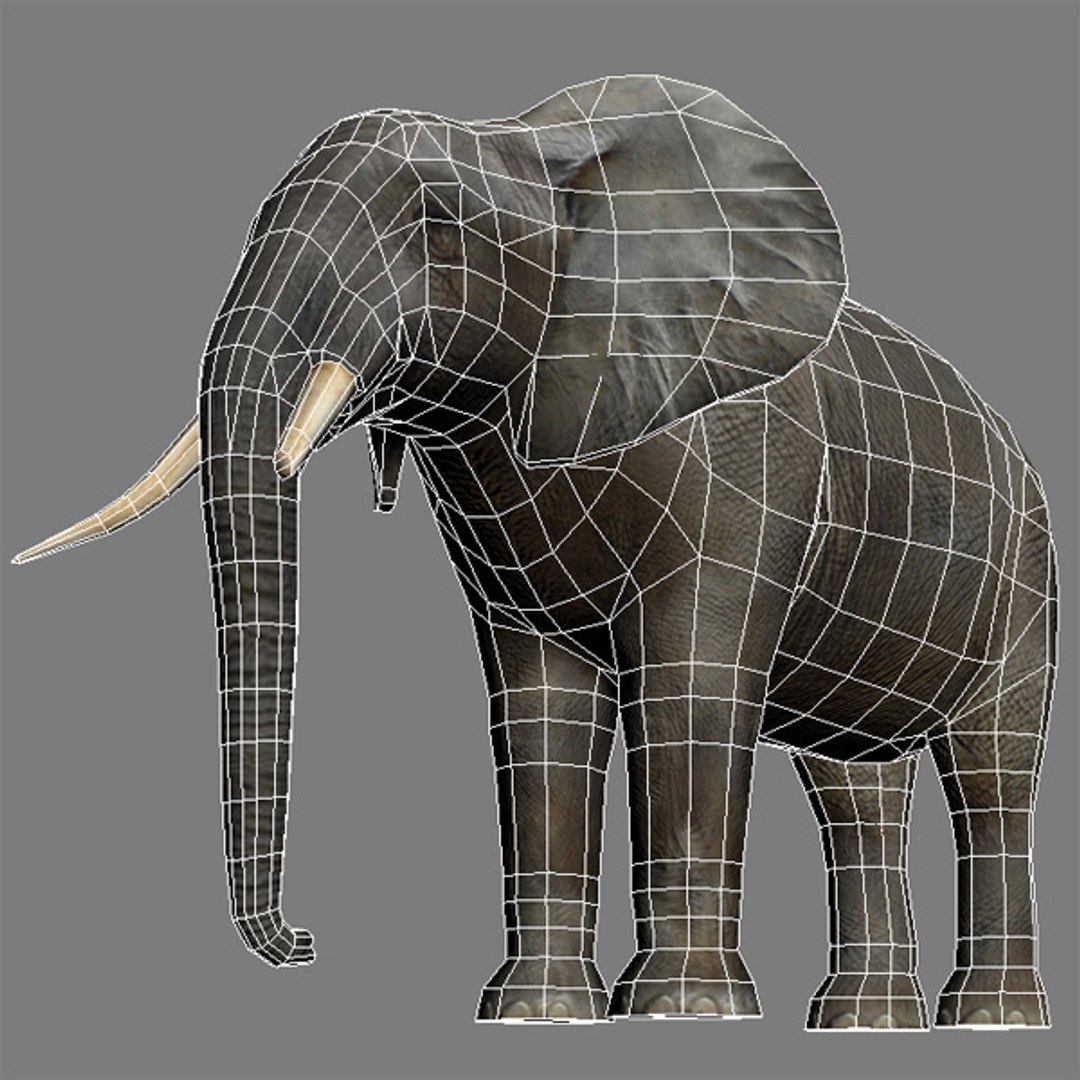Elephant 3d Model