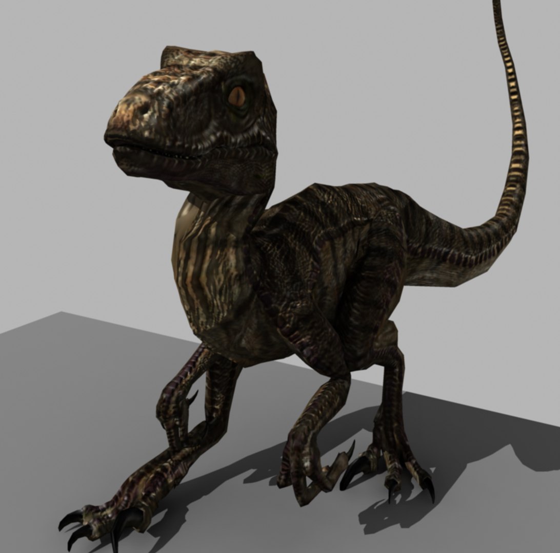 Rigged Velociraptor Animation Obj