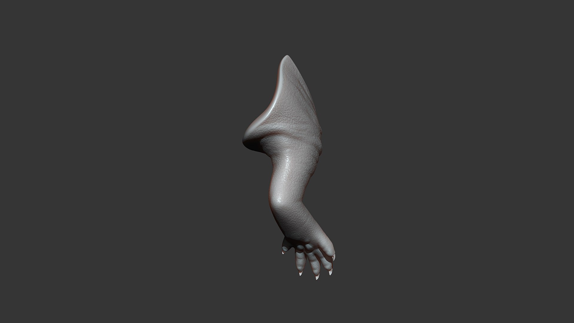 3D Rat Baby Newborn Rear Leg Highpoly Sculpt - TurboSquid 1813983