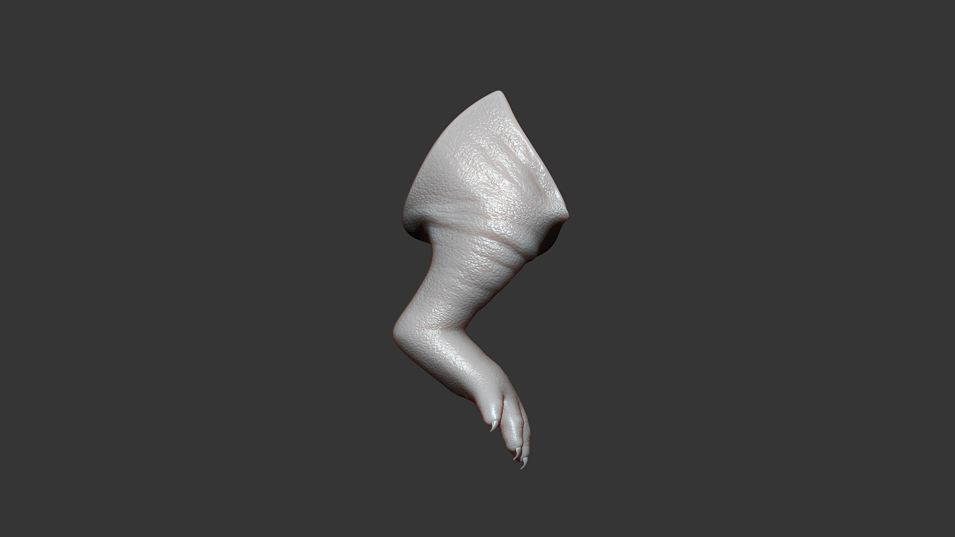3D Rat Baby Newborn Rear Leg Highpoly Sculpt - TurboSquid 1813983
