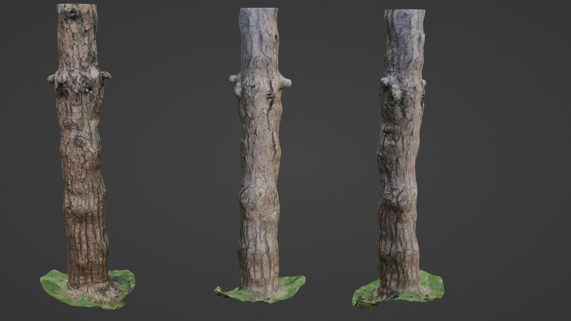 3D Tall Tree Model - TurboSquid 2332327