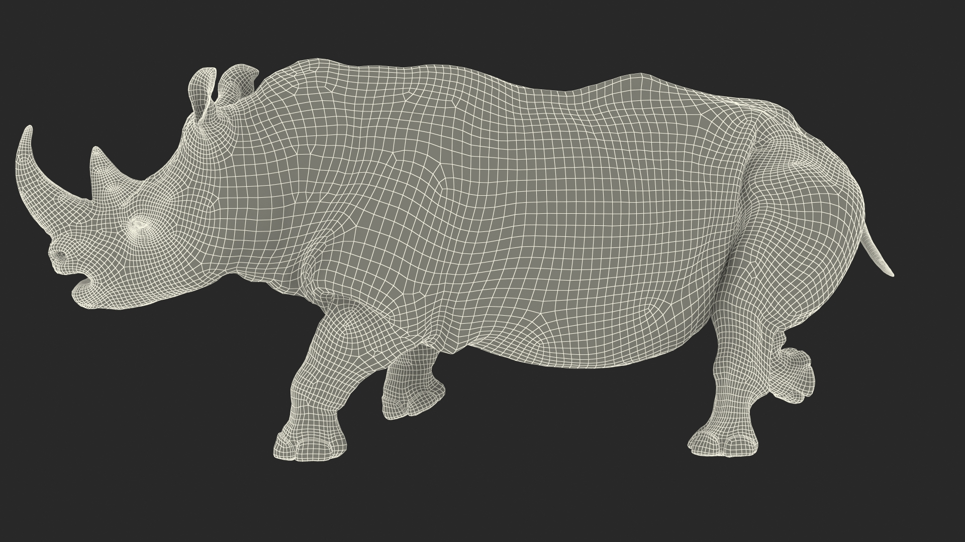 3D Rhino Walking Pose - TurboSquid 1677805