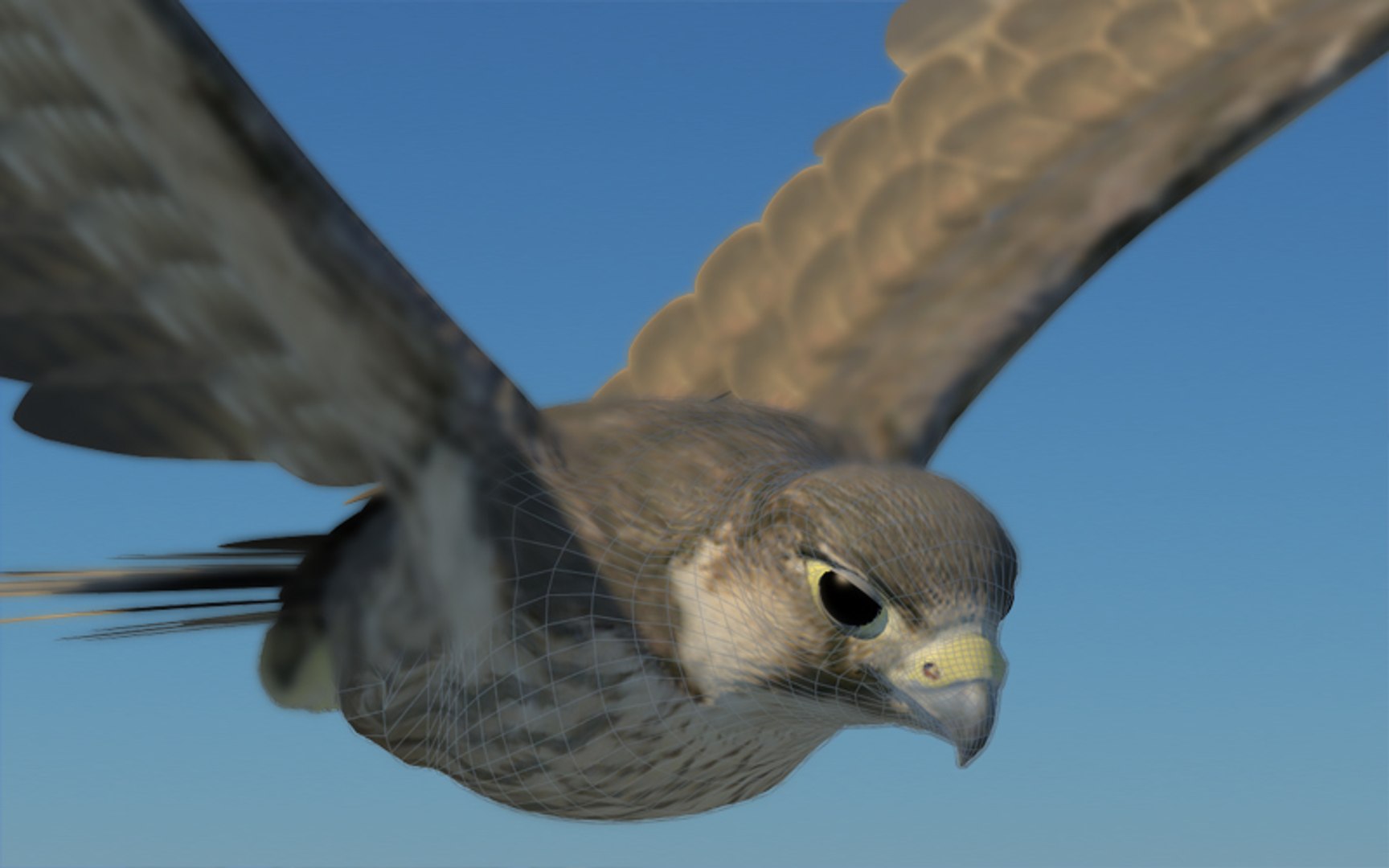 3d Model Peregrine Falcon Wings Folded