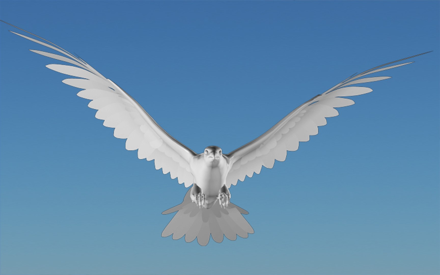 3d Model Peregrine Falcon Wings Folded
