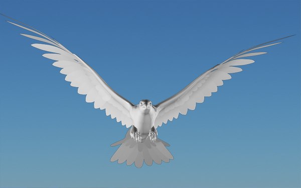 3d model peregrine falcon wings folded