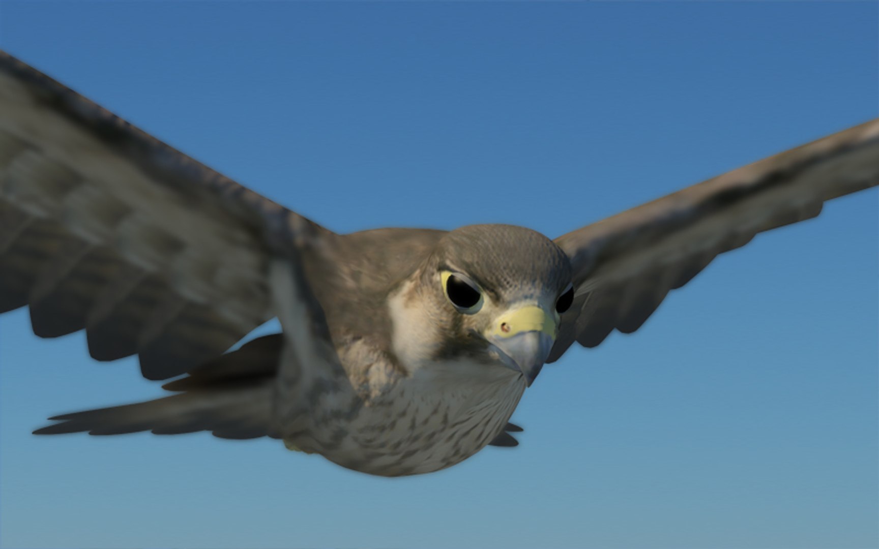 3d Model Peregrine Falcon Wings Folded