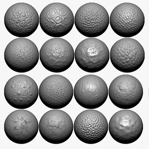 Free 3D Skin Models - Available For Download On TurboSquid