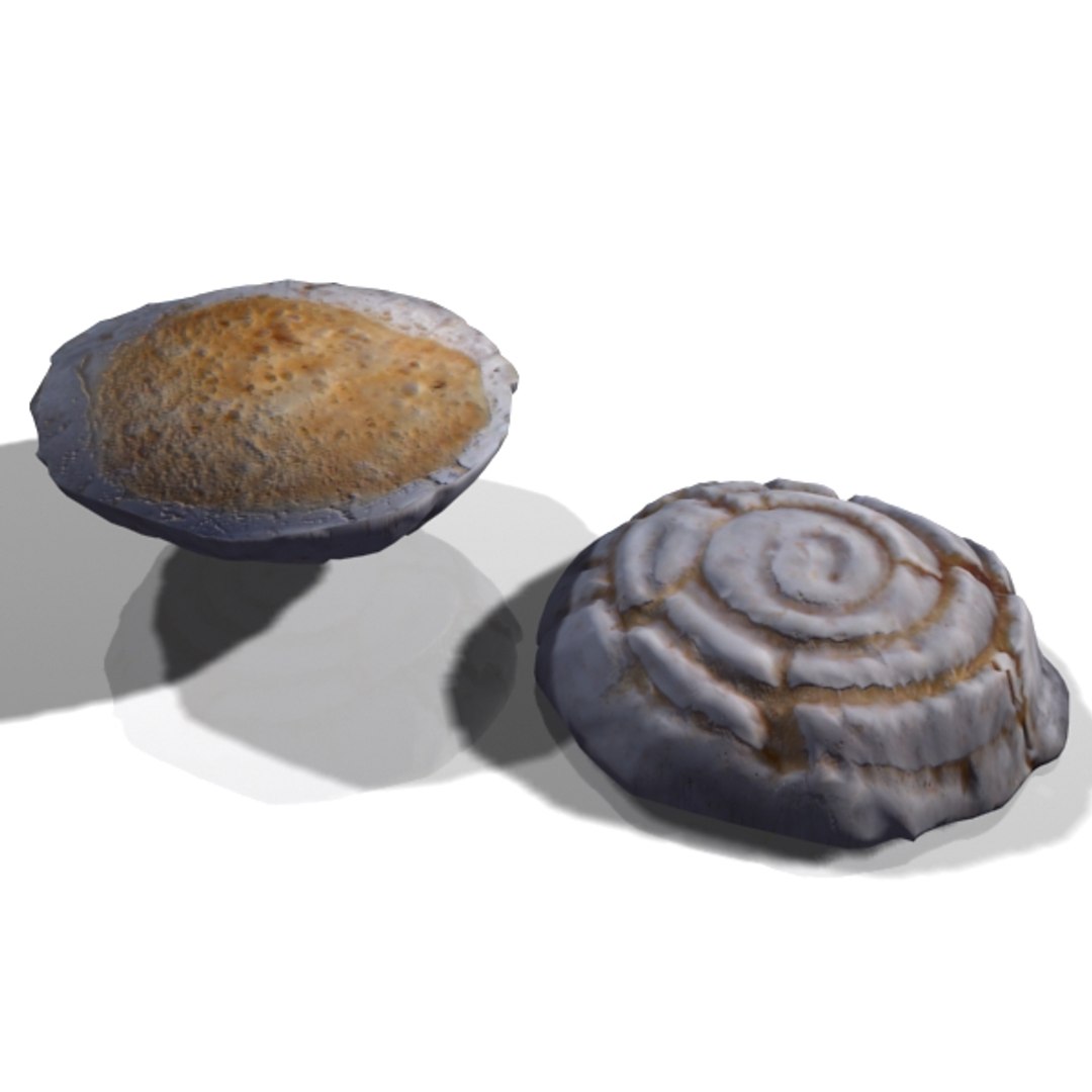 Traditional Mexican Bread 3d Model