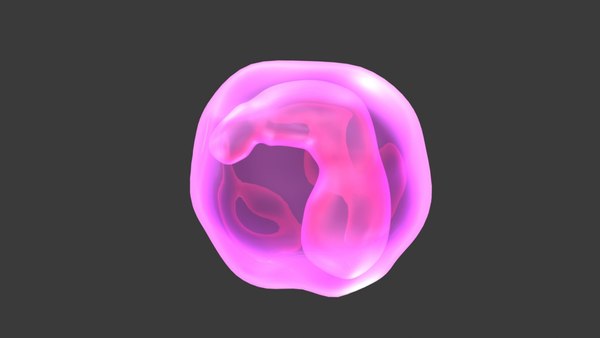 White blood cells 3D model - TurboSquid 1264374