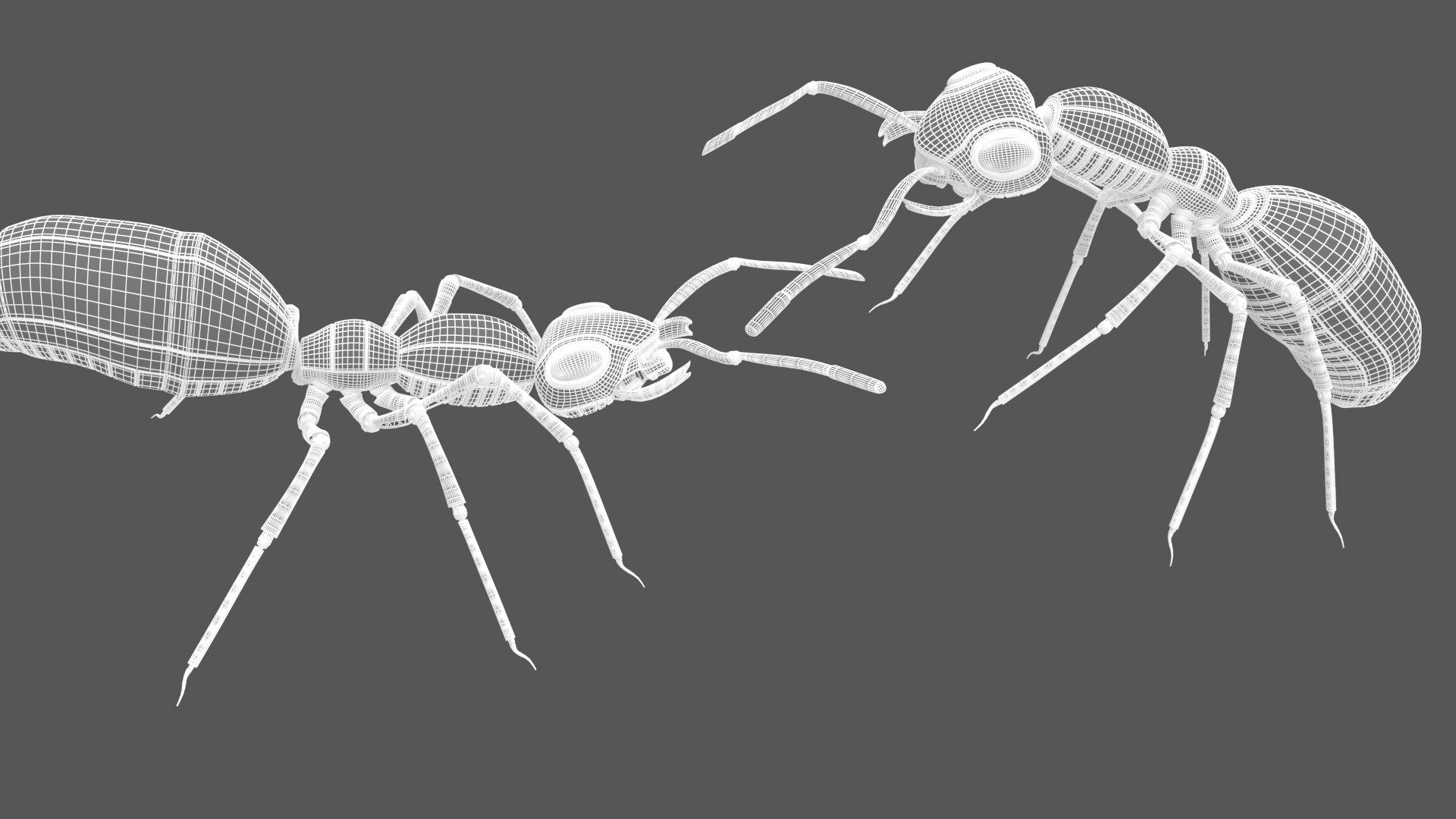 3D Robot Ants - TurboSquid 2369294
