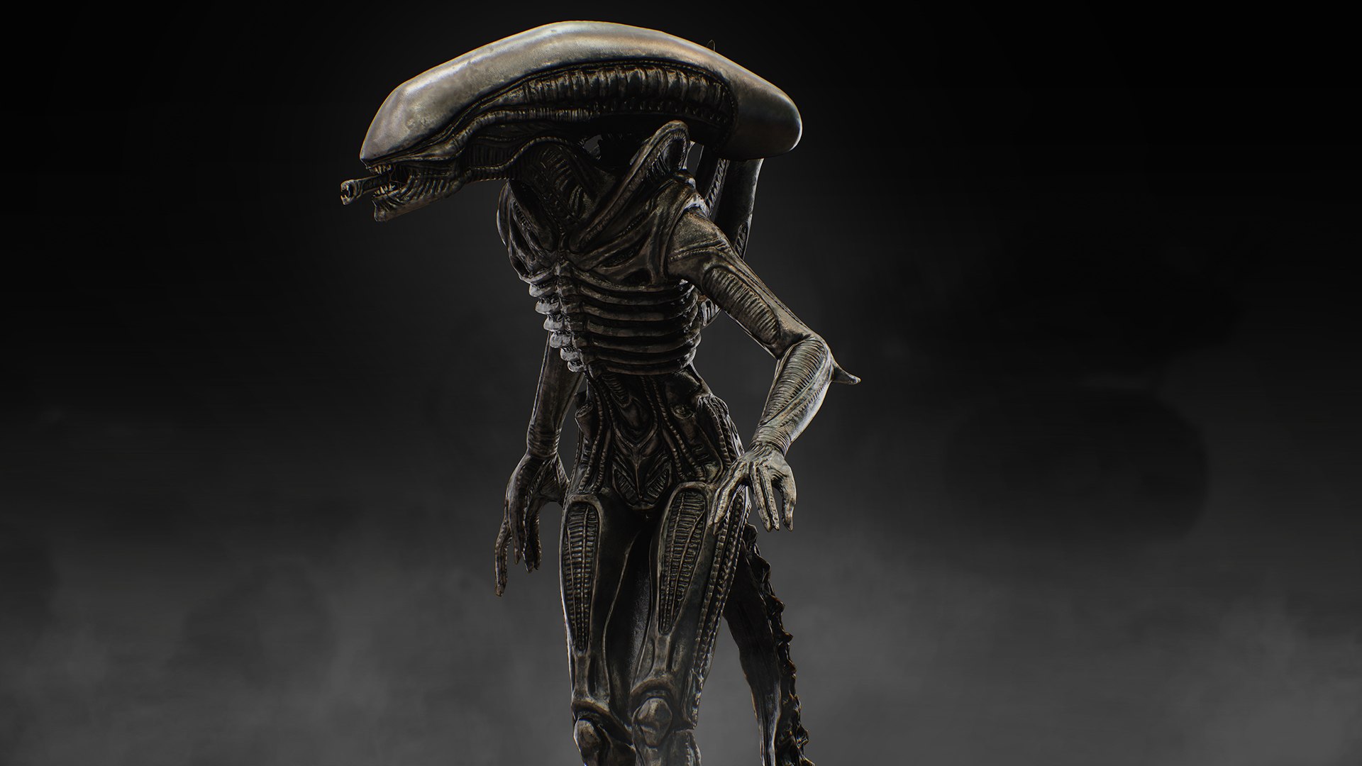 3D Xenomorph Model - TurboSquid 2380748