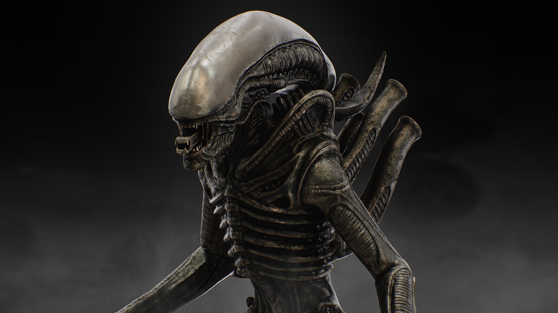 3D Xenomorph Model - TurboSquid 2380748