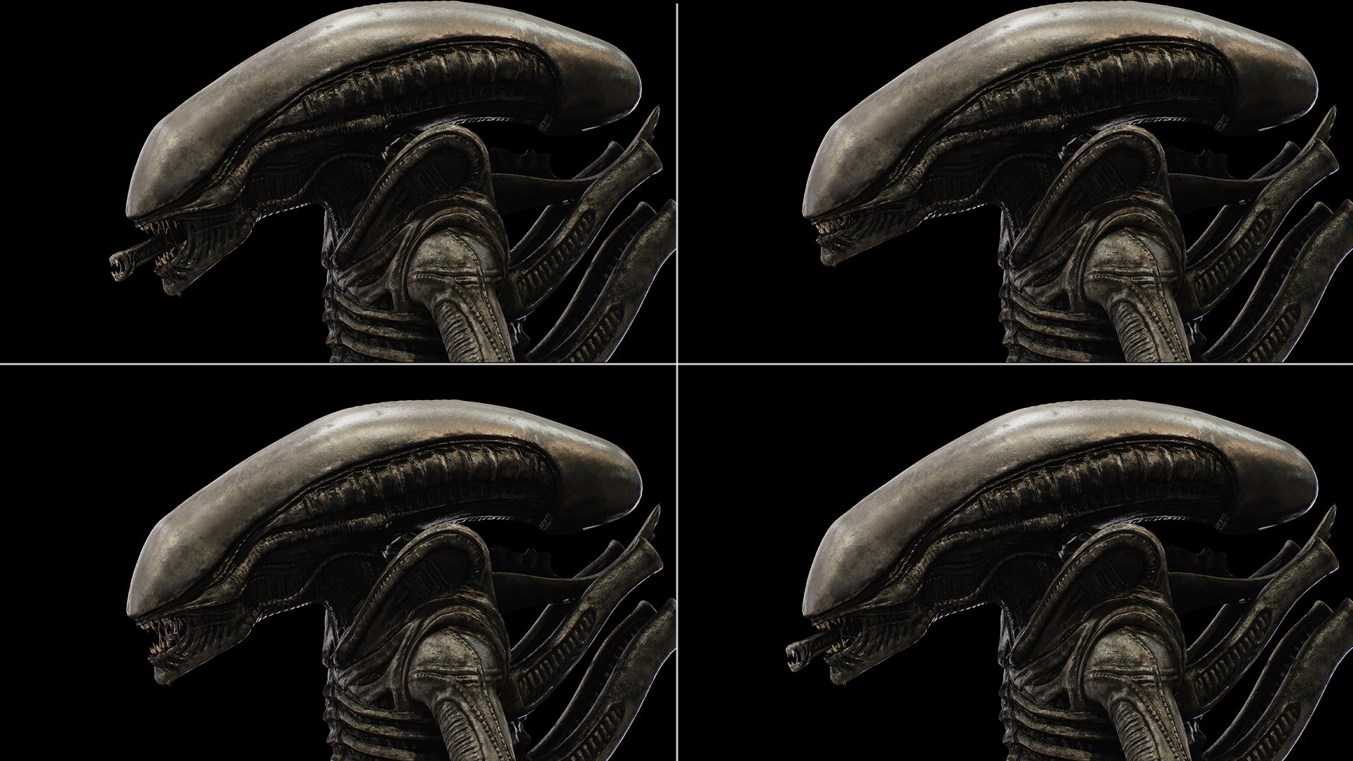 3D Xenomorph Model - TurboSquid 2380748