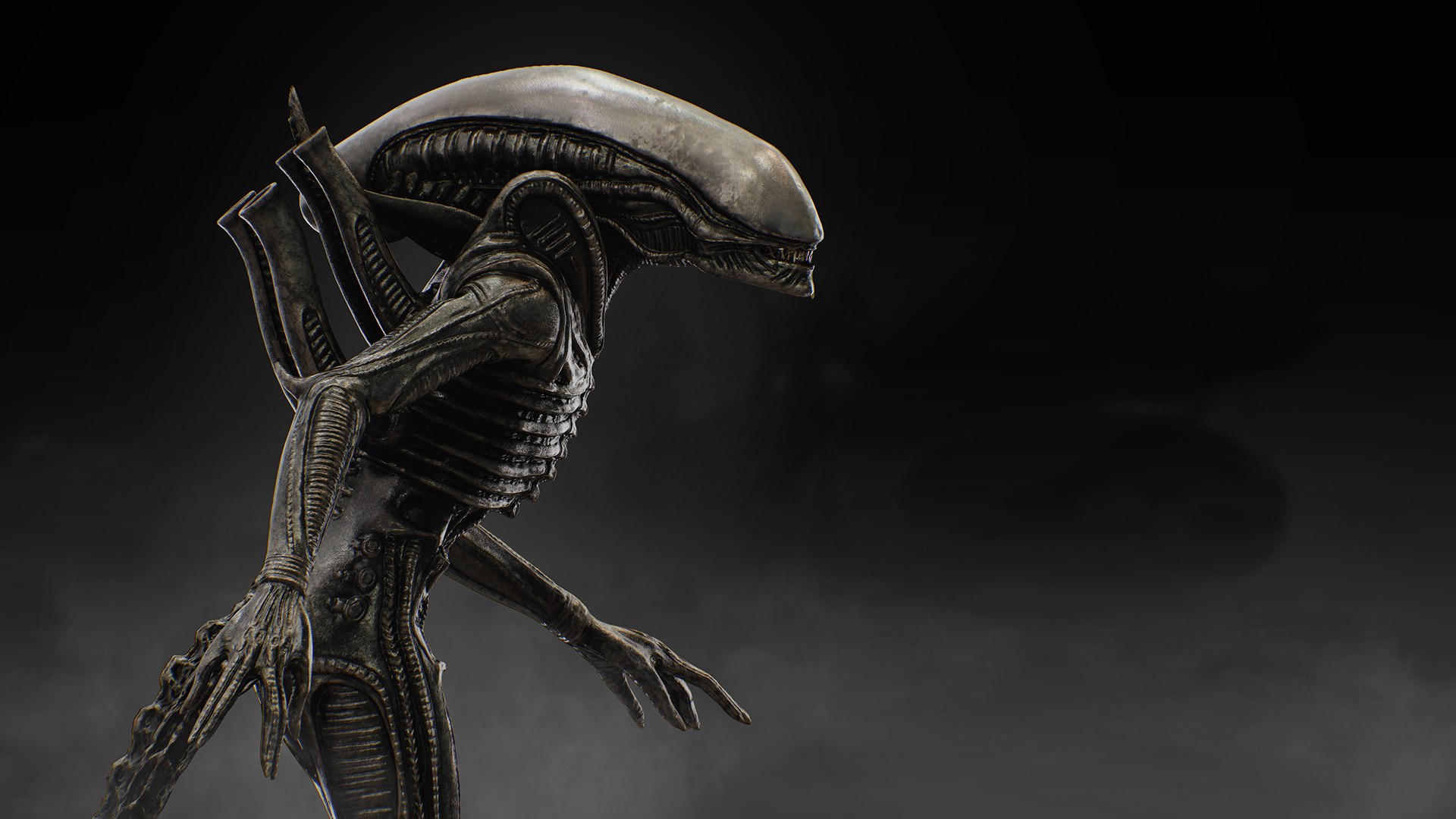 3D Xenomorph Model - TurboSquid 2380748