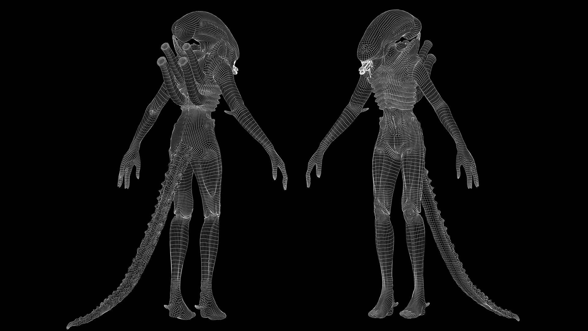 3D Xenomorph Model - TurboSquid 2380748