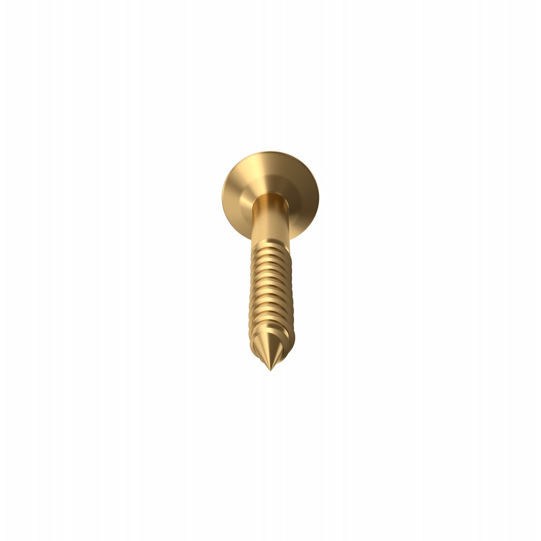 3D Gold Screw - TurboSquid 1926382