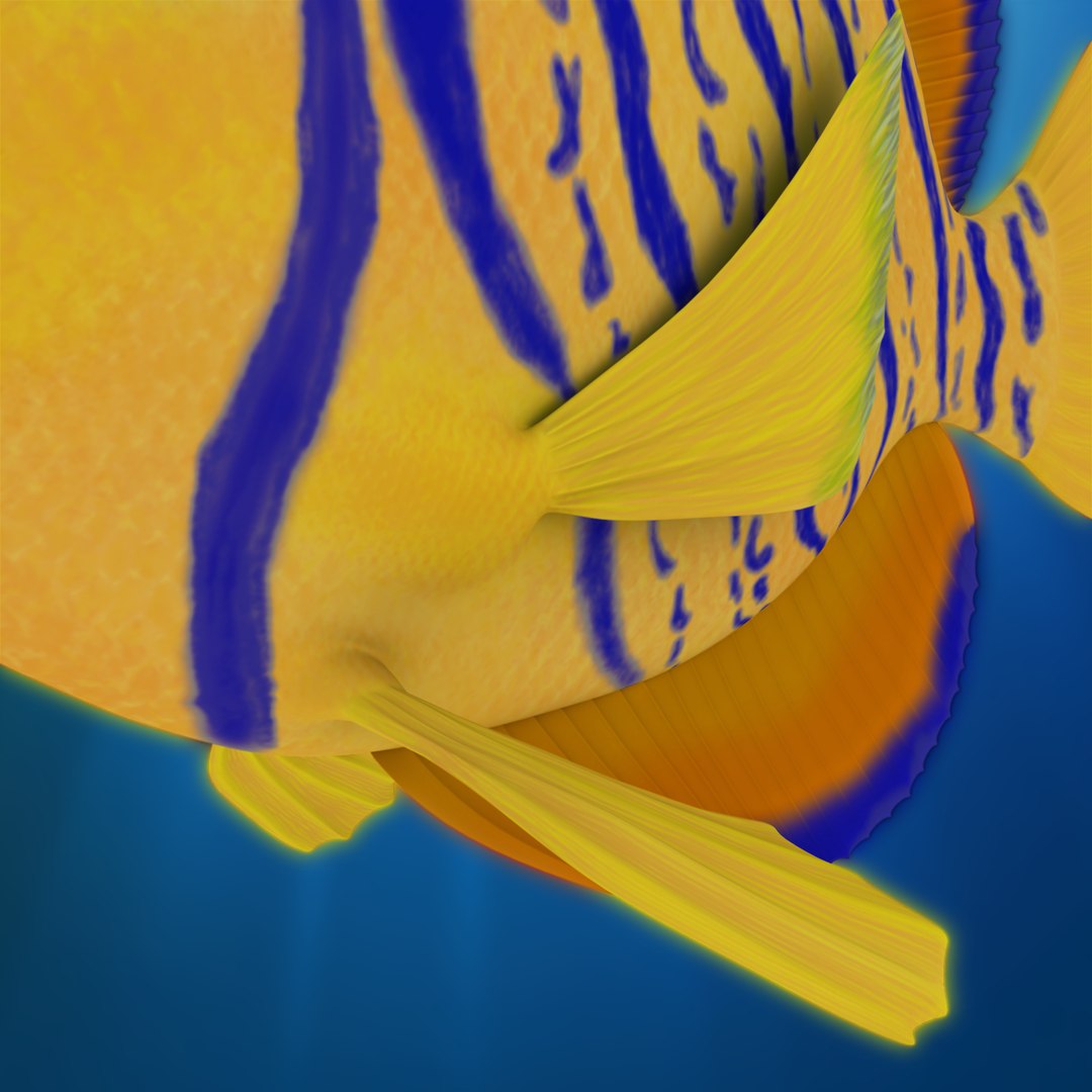 3D cartoon fish model - TurboSquid 1201318