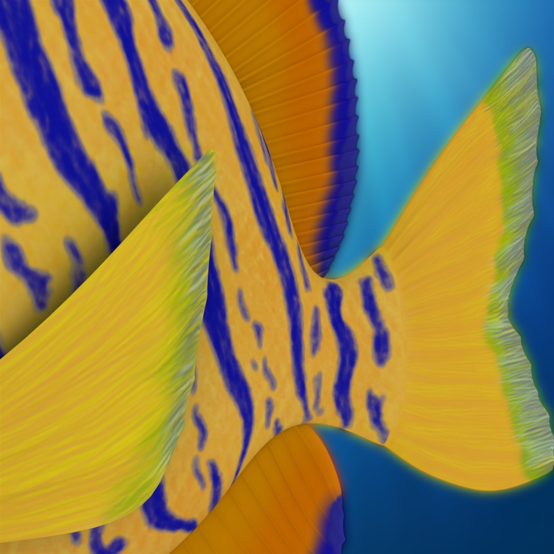 3D cartoon fish model - TurboSquid 1201318