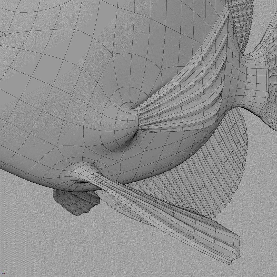 3D cartoon fish model - TurboSquid 1201318