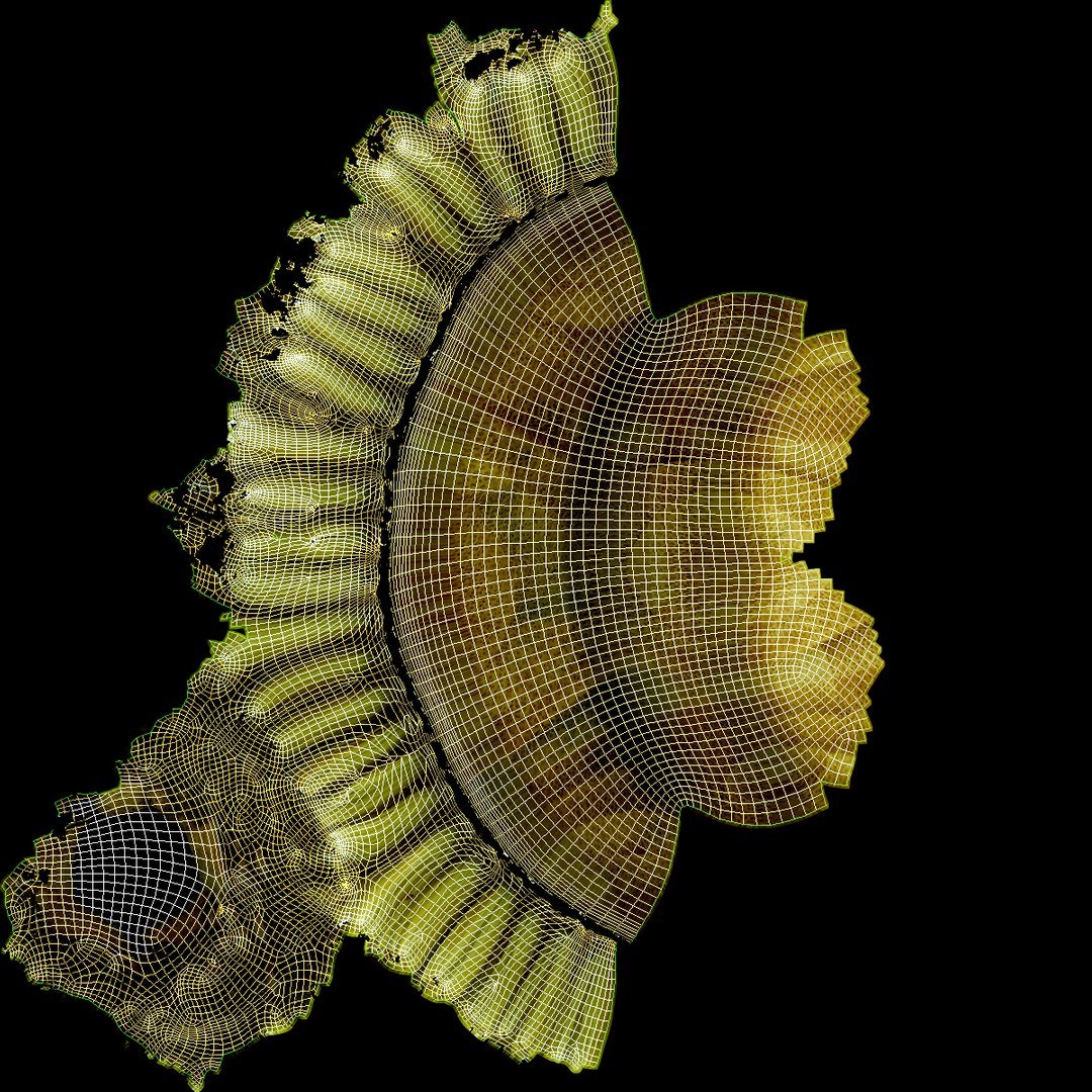 3D Model Brush 04 - TurboSquid 2148933