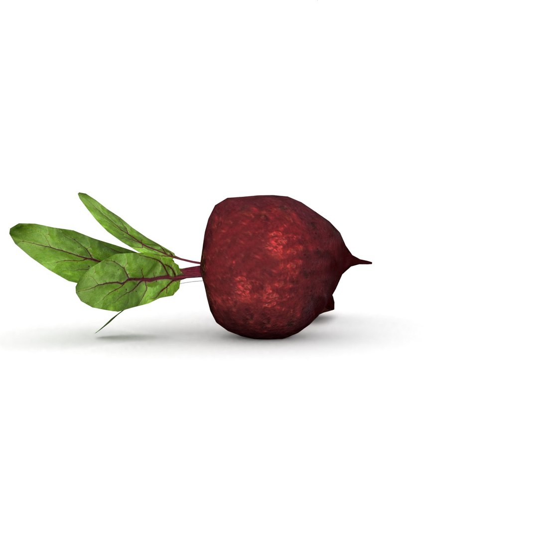 3D Model Beetroot Beet Root - TurboSquid 1531745