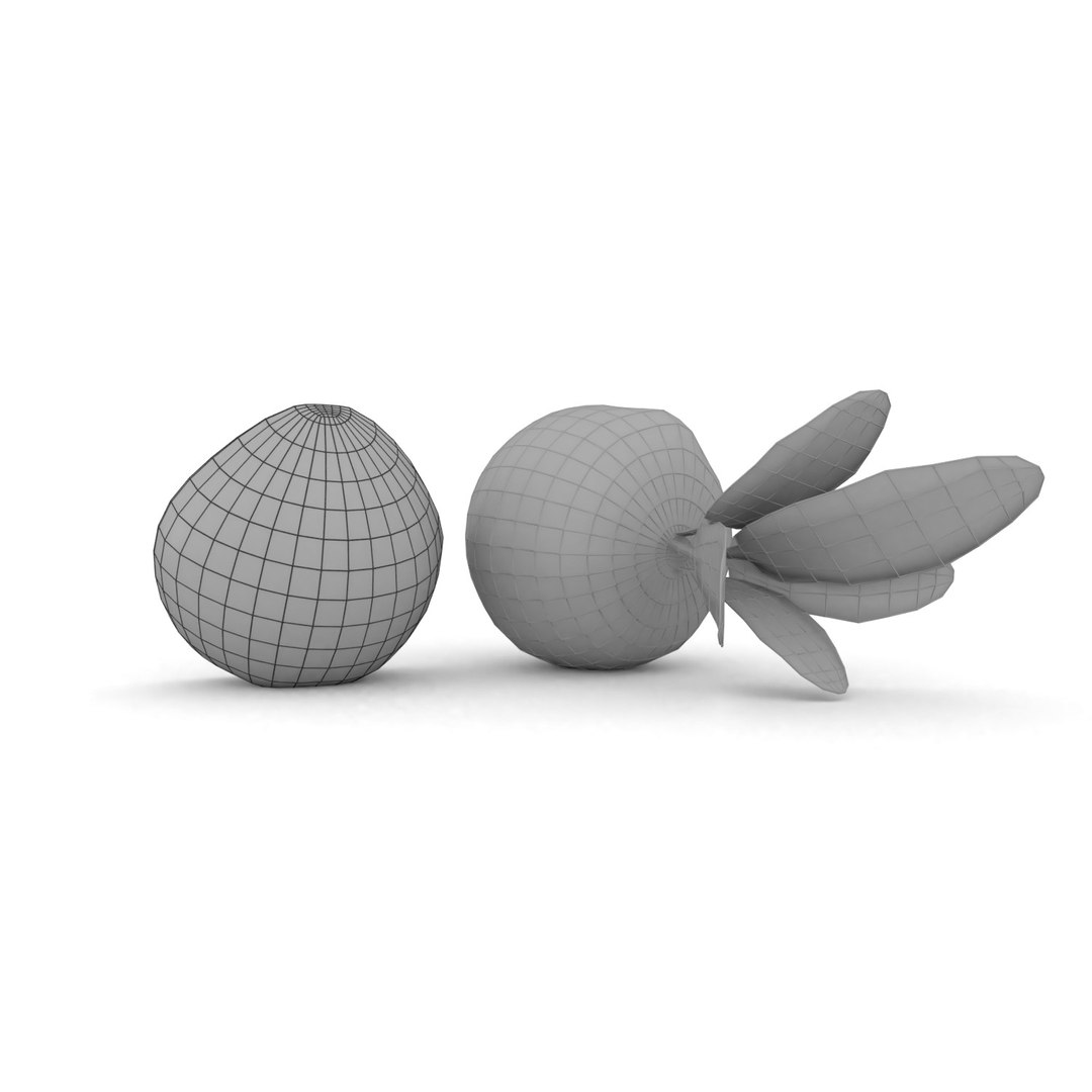 3D Model Beetroot Beet Root - TurboSquid 1531745