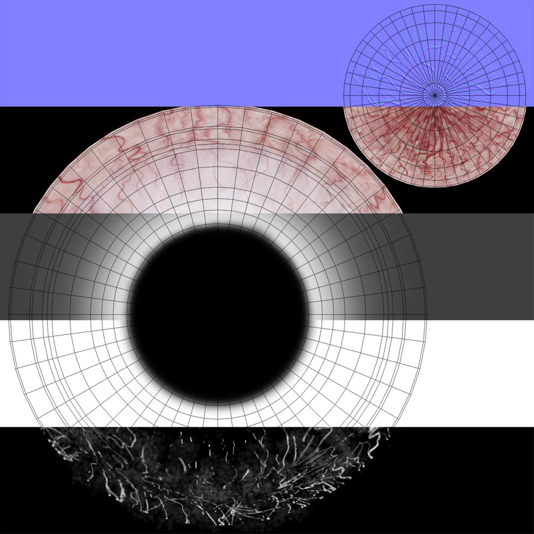 3d eye human iris model