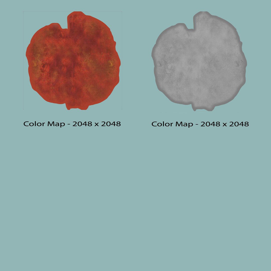 3d Model Ovary Anatomy