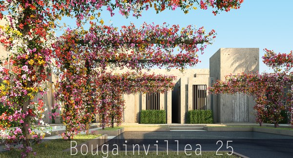 3d model plant flower
