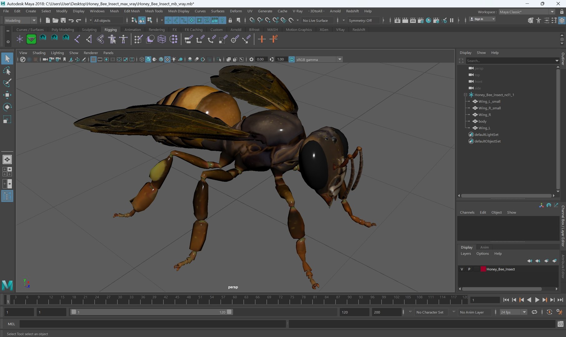 3D Model Honey Bee Insect - TurboSquid 2385512