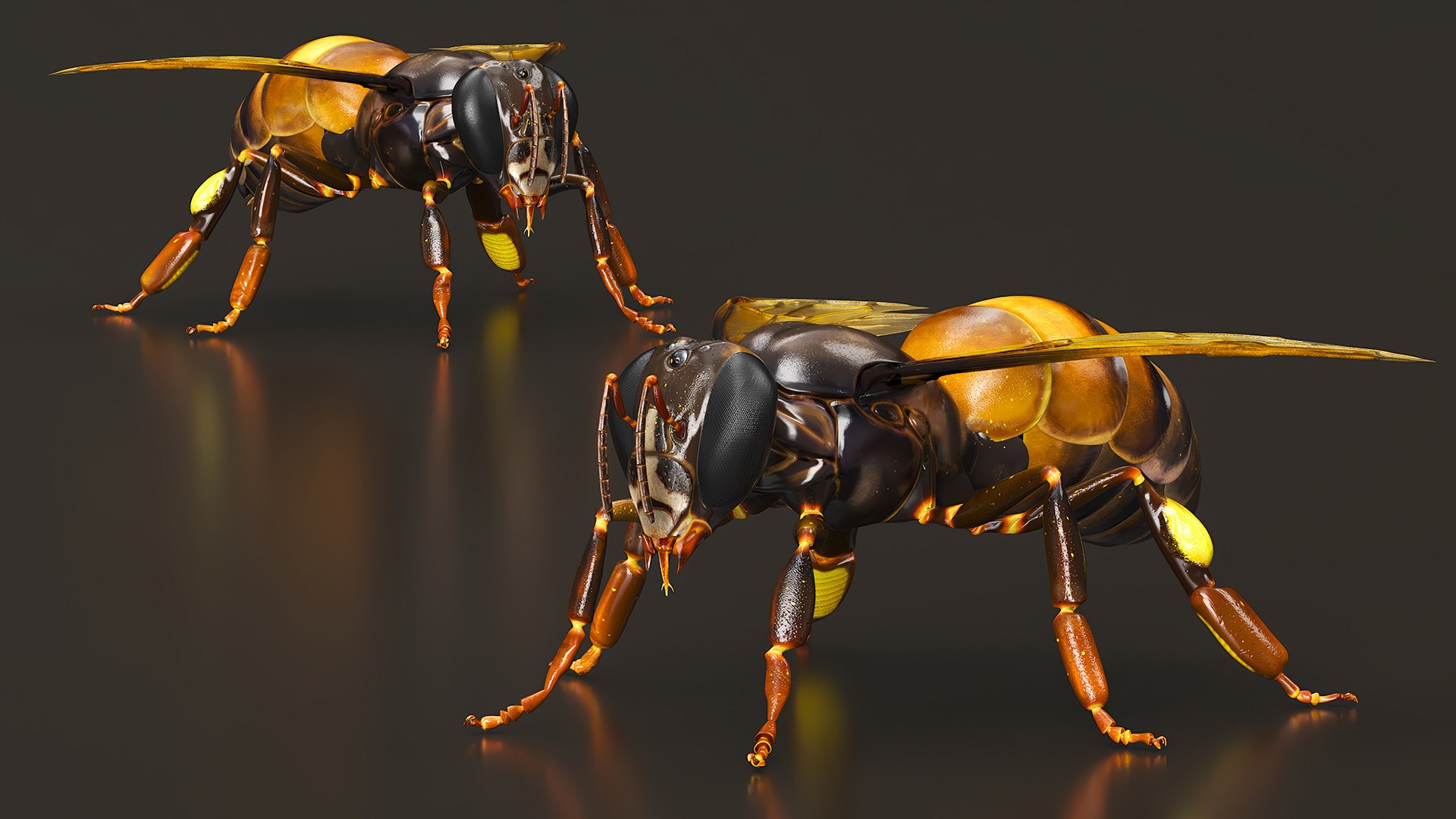 3D Model Honey Bee Insect - TurboSquid 2385512