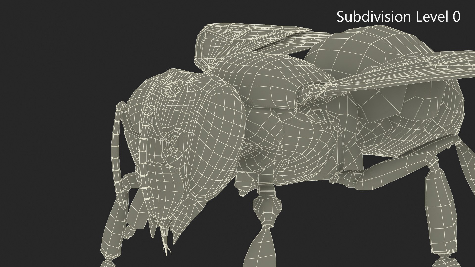 3D Model Honey Bee Insect - TurboSquid 2385512