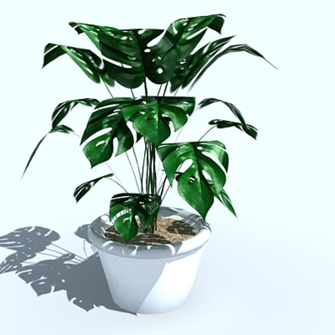 Plant Pot 3d Model