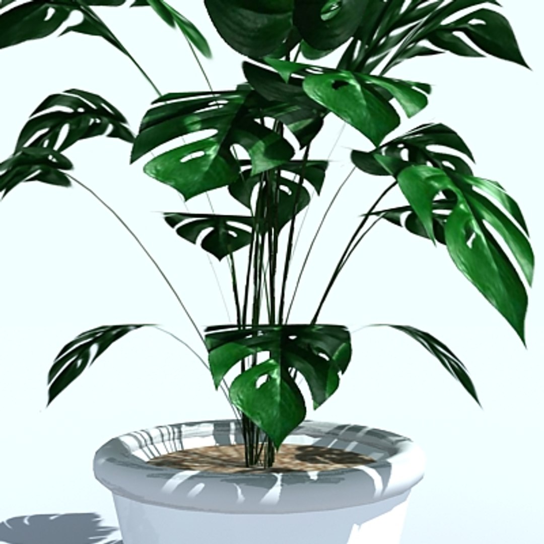 Plant Pot 3d Model