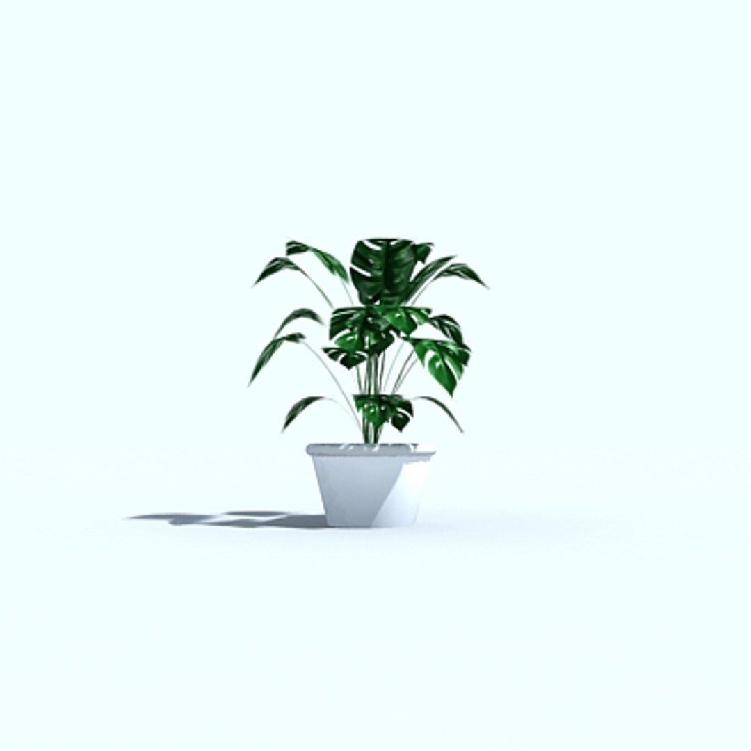 Plant Pot 3d Model