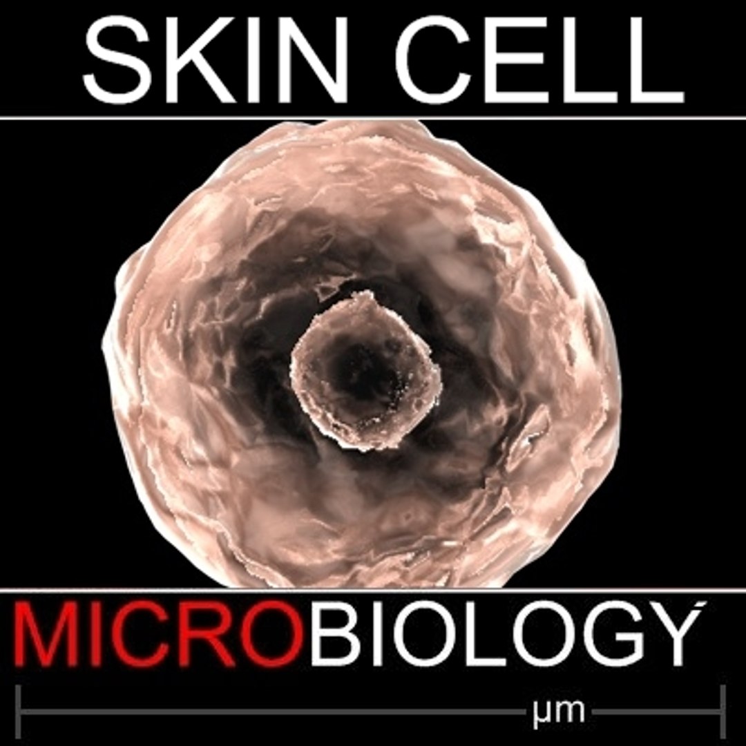 Maya Skin Cell