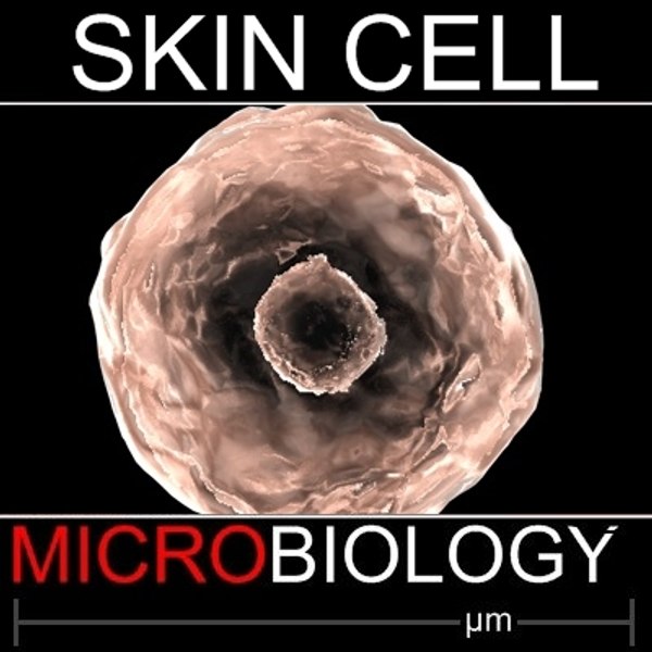 3ds max skin cell