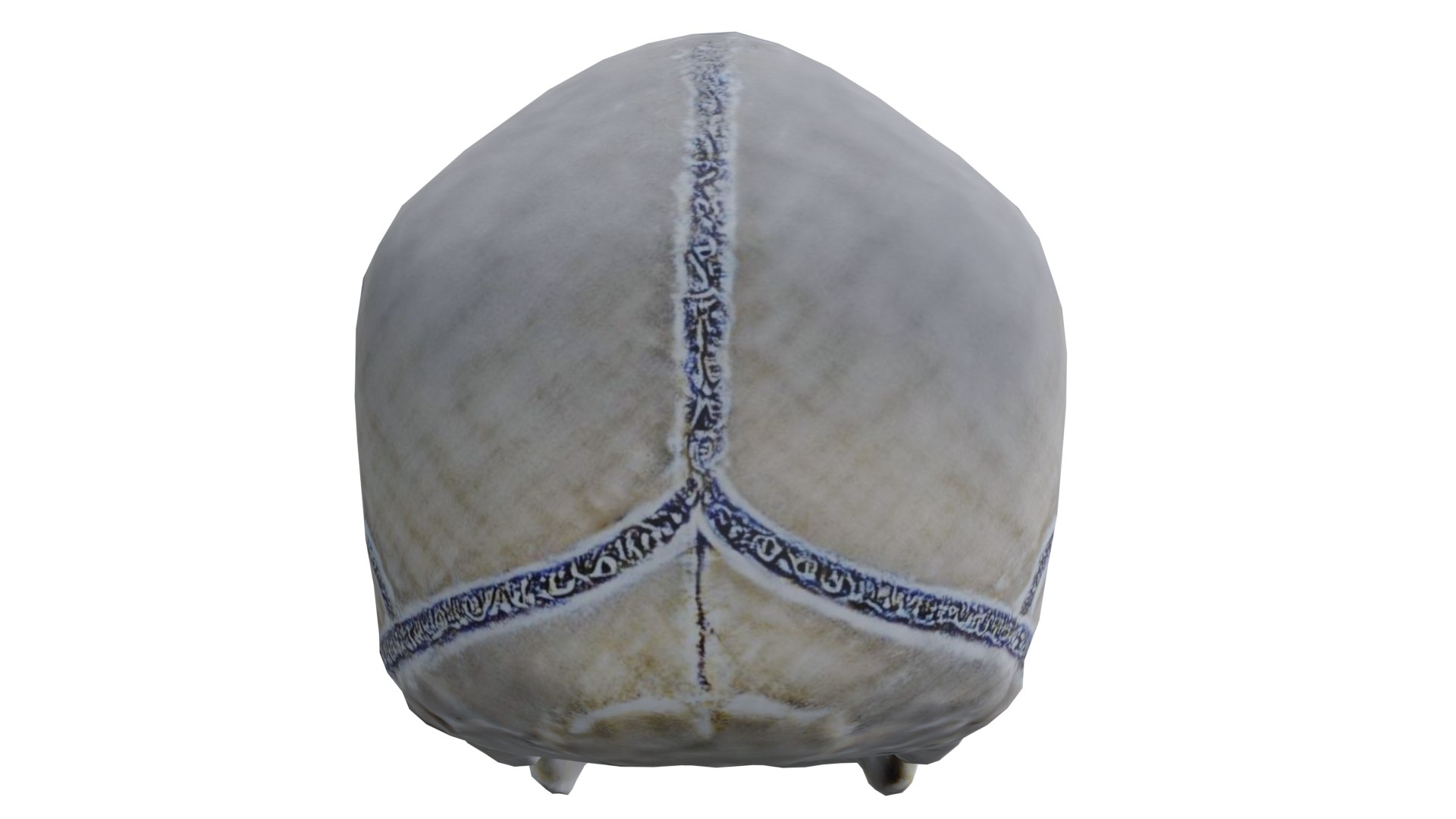 3d Model Human Skull Turbosquid 2203421
