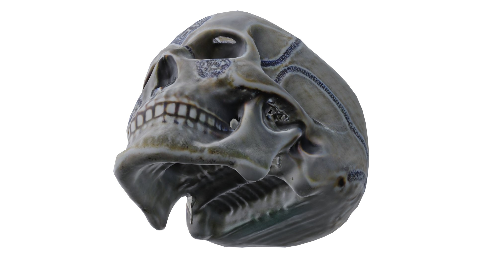 3d Model Human Skull Turbosquid 2203421