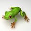 3dsmax rigged frog