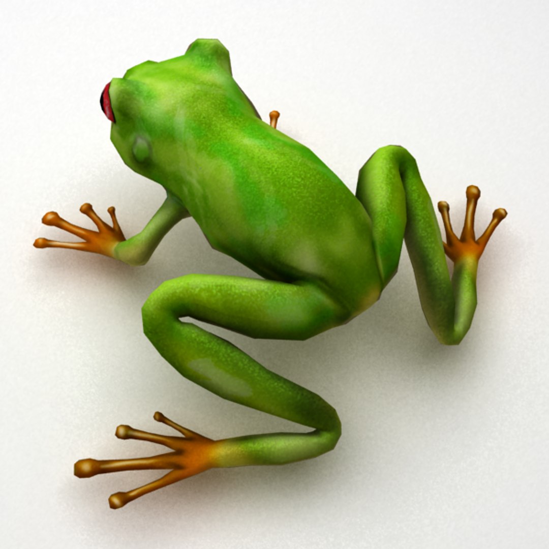 3dsmax Rigged Frog