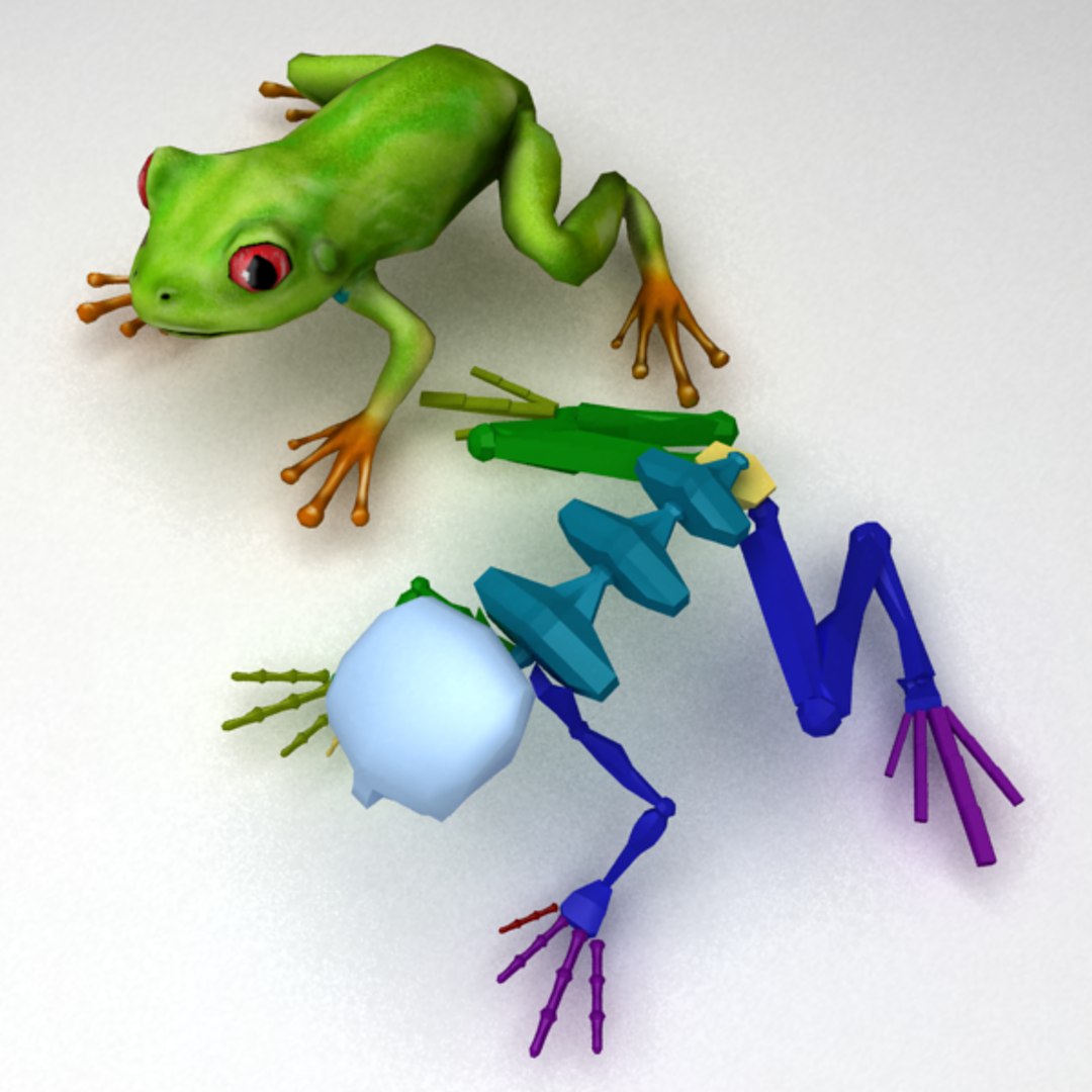 3dsmax Rigged Frog