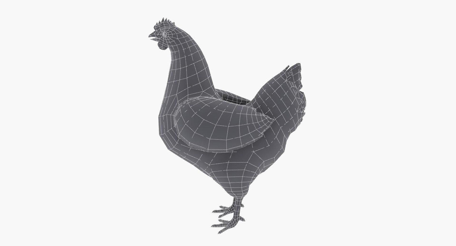 3d Chicken Model