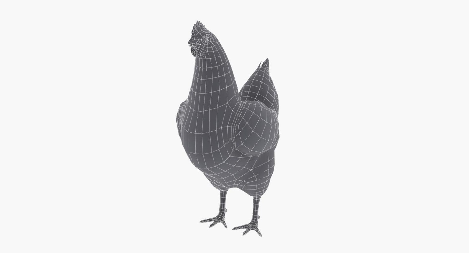 3d Chicken Model