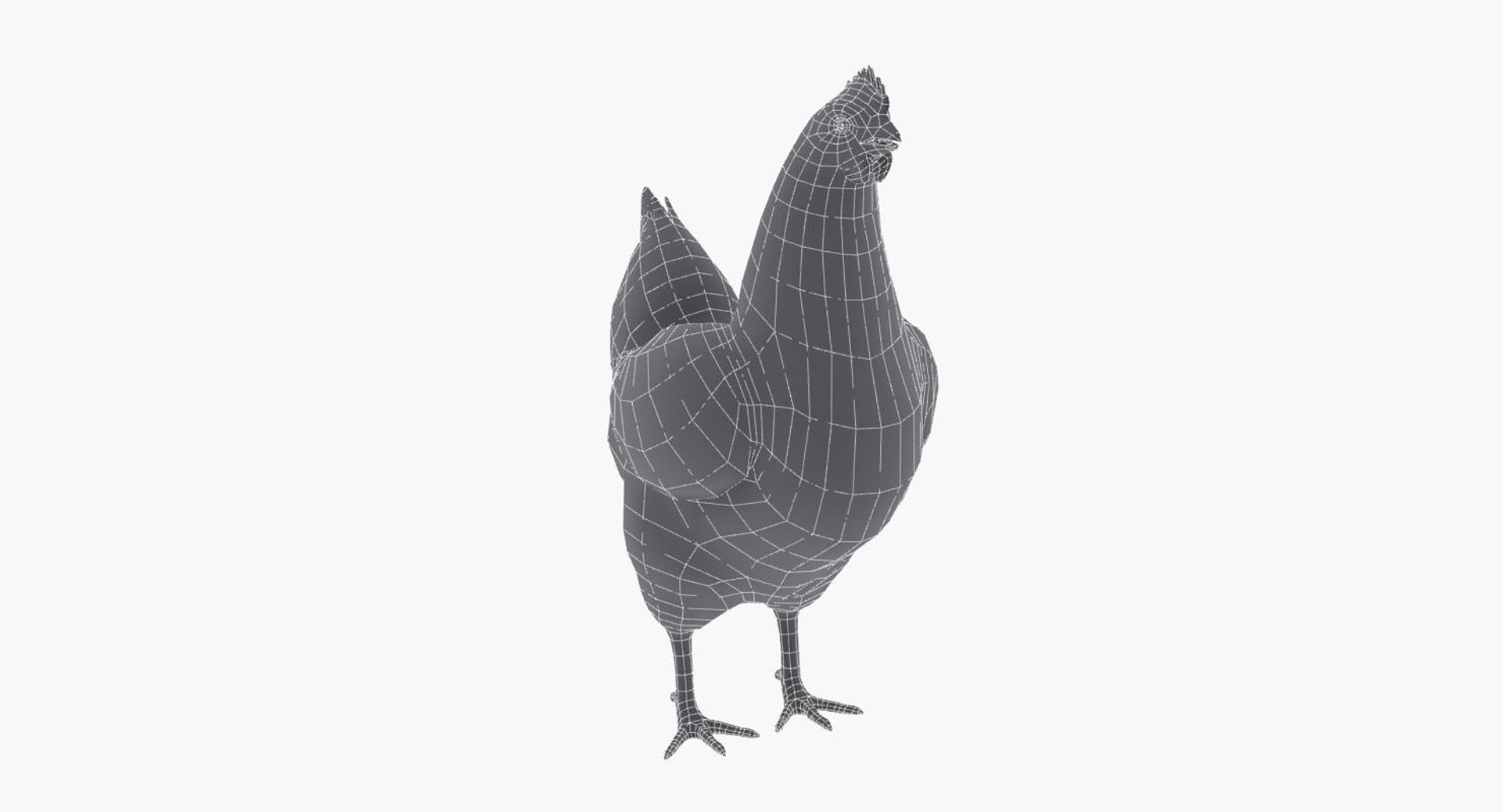 3d Chicken Model