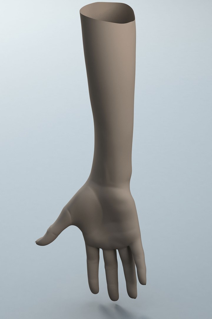 Female Arm 3d 3ds
